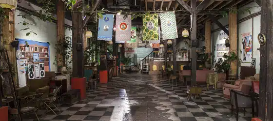 Les 8 bars les plus écolo bobo de Paris - La sélection d'Intripid